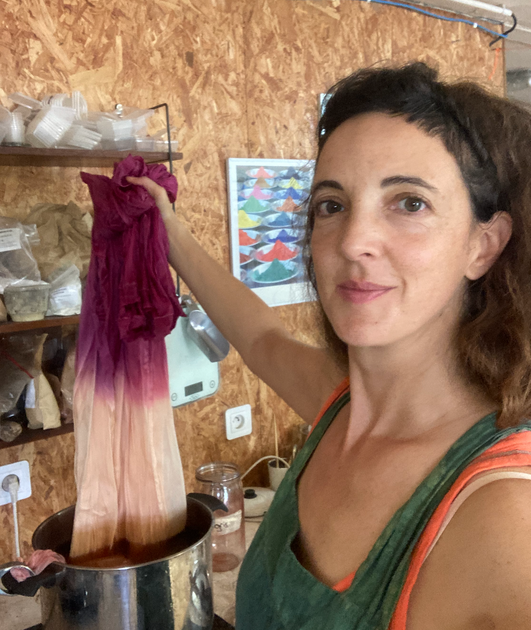 WHOLE la nouvelle newsletter, par Aurélia Wolff